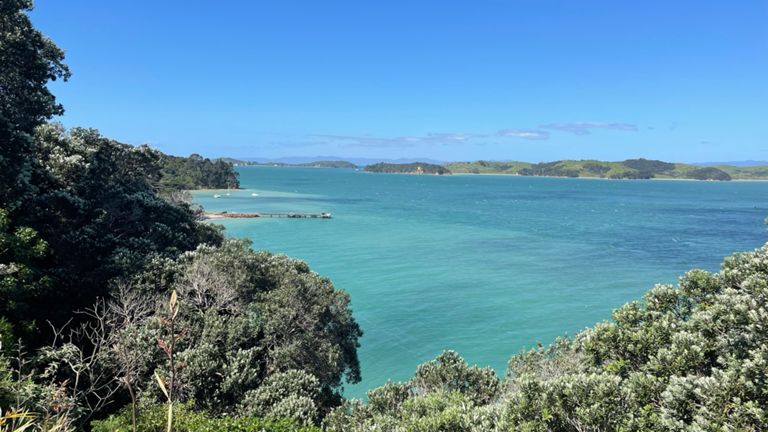 Trail W2W first half | 16.9 km Running Route on Strava