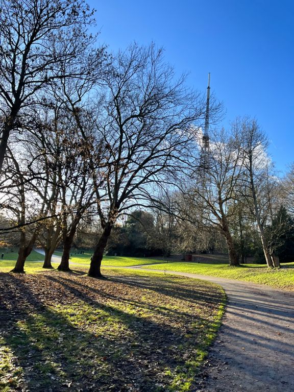 Norbury Crystal Palace Park Road Hill | 40.9 km Cycling Route on Strava