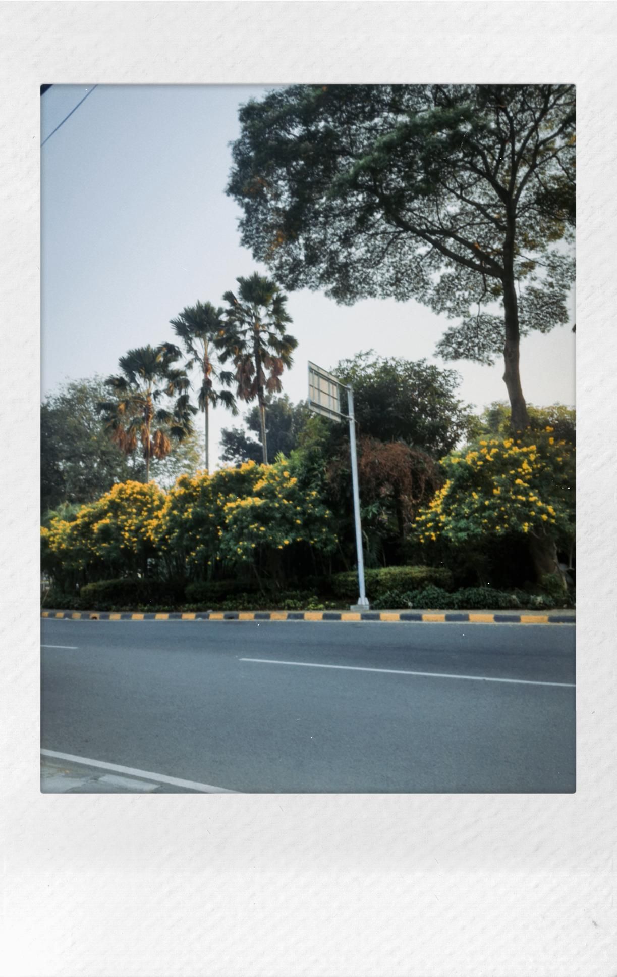 Maria Agustina | Strava Runner Profile