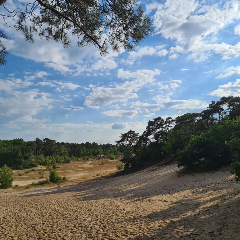 Esbeek - Vught | 80.8 km Cycling Route on Strava