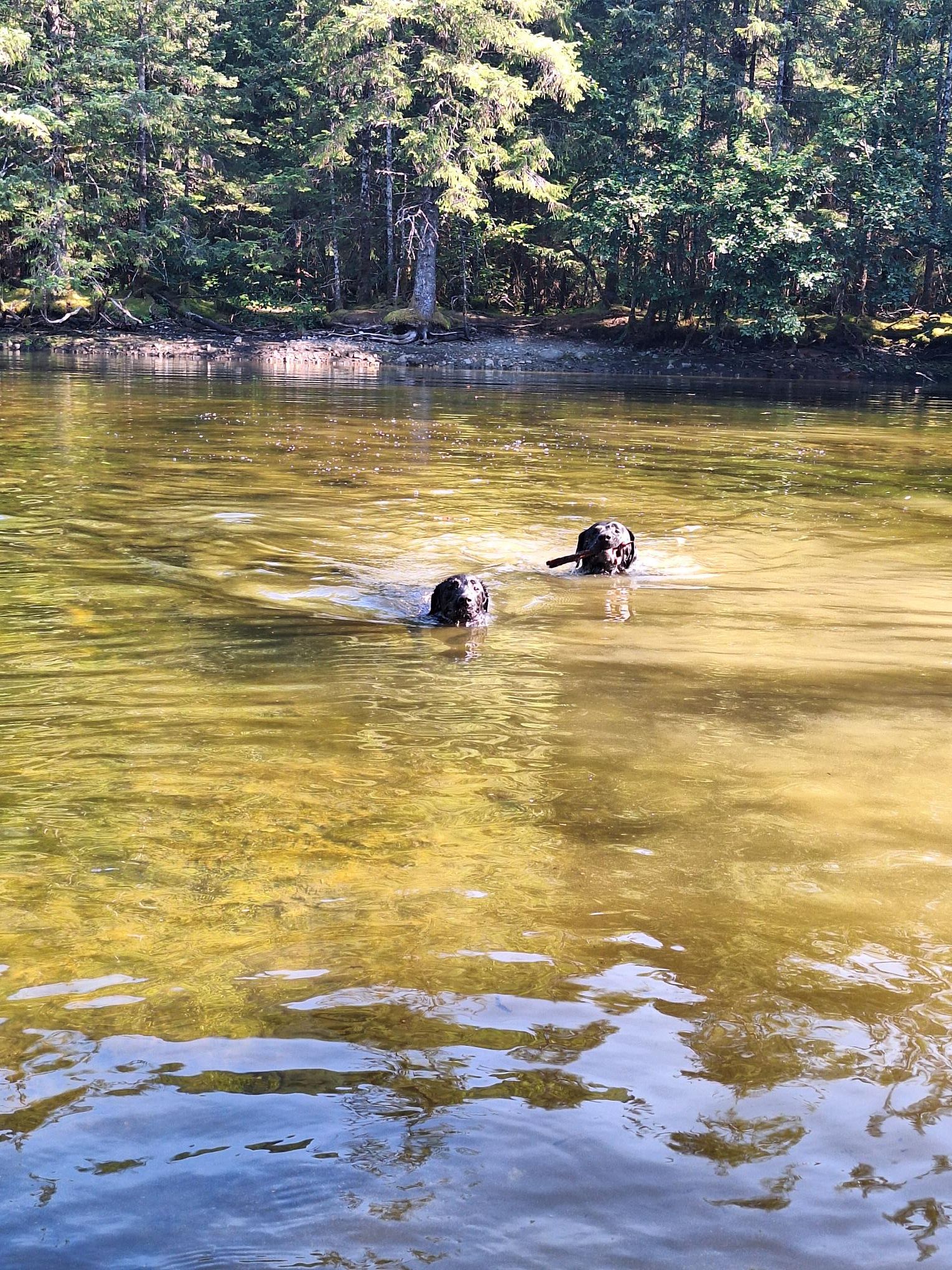 Cathy Mattson | Strava Cyclist Profile