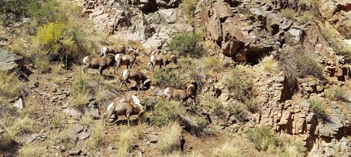 Waterton canyon with Jen | Strava