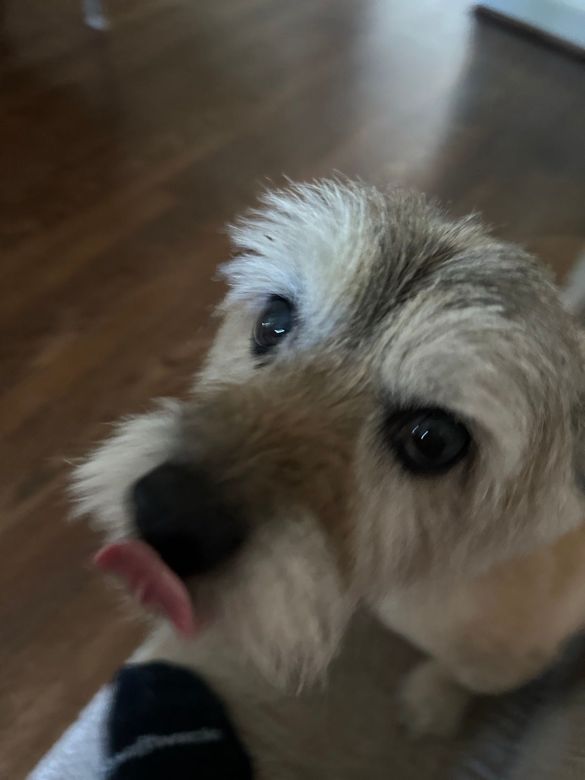 Peyton Colee | Strava 自行车手个人资料