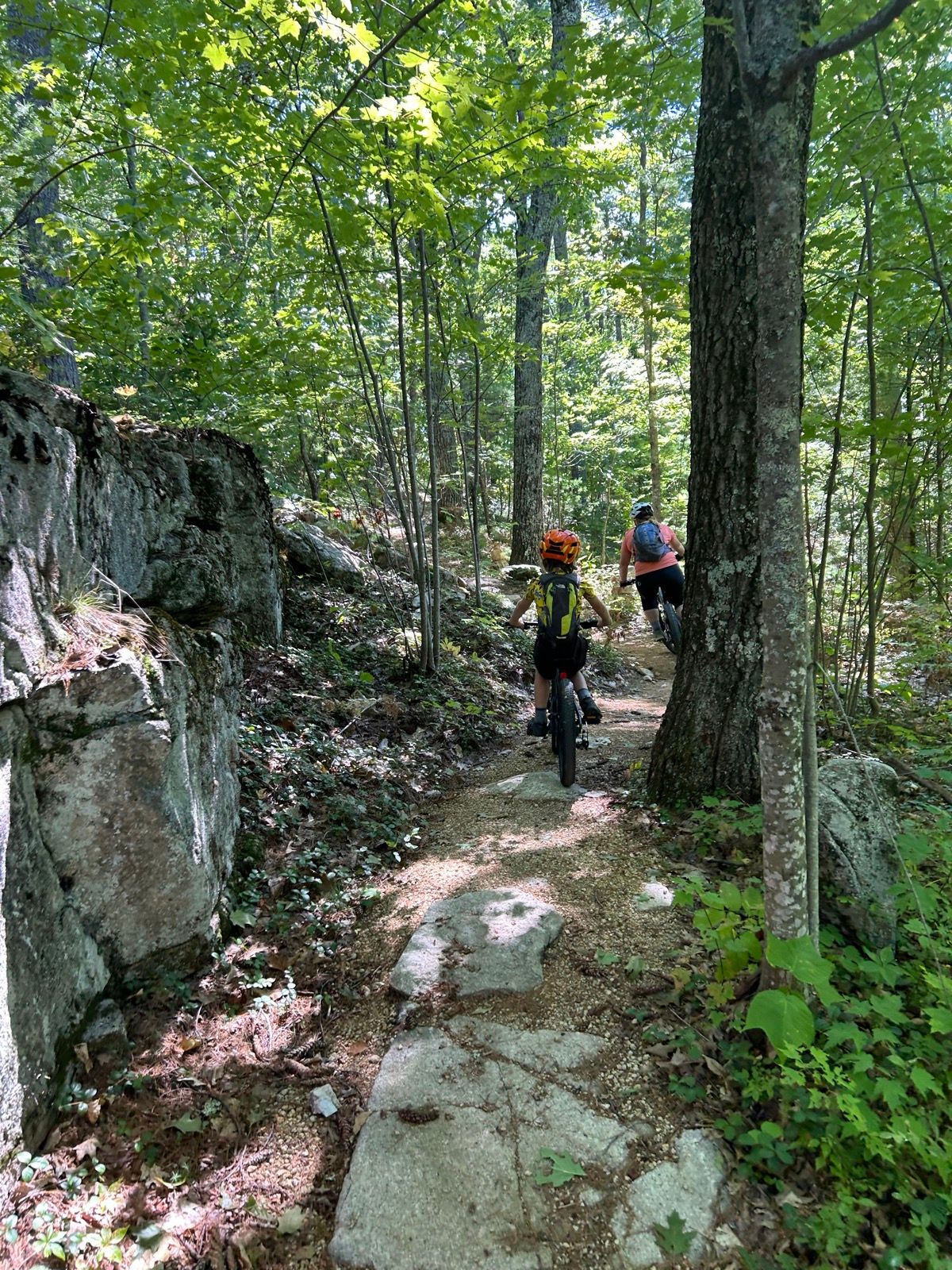 Troy Shellhamer | Strava Cyclist Profile