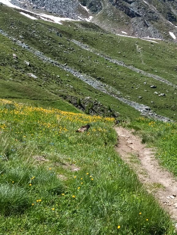 HalfTor project j3 | 32.7 km Hiking Trail on Strava