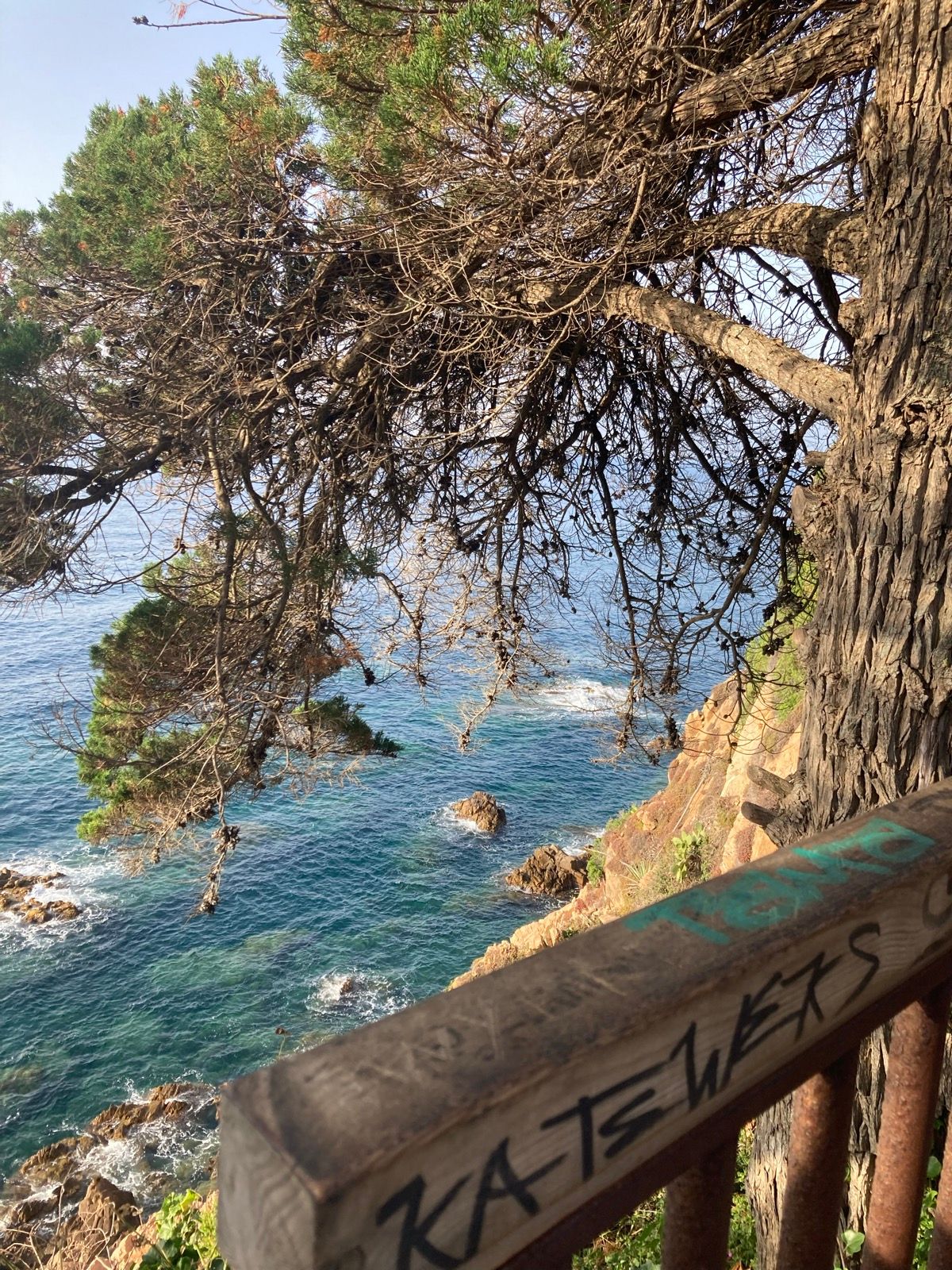 María González Gómez | Strava Runner Profile