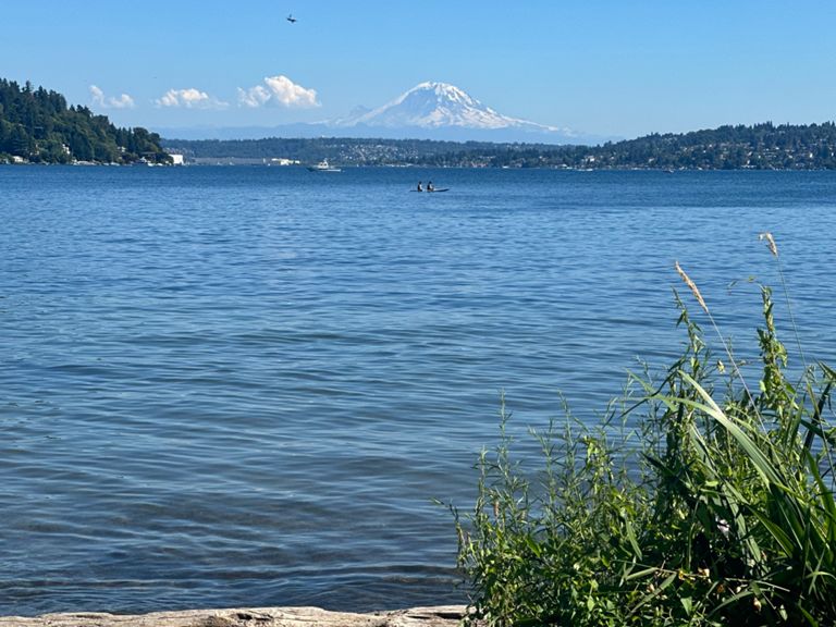 South lake Washington loop | 23.6 mi Cycling Route on Strava