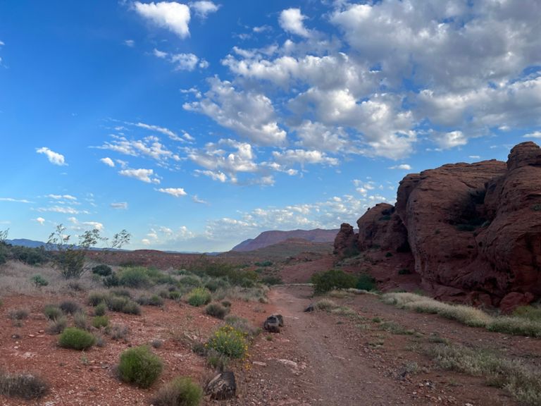 Chuckwalla Trail | 7.3 km Running Route on Strava