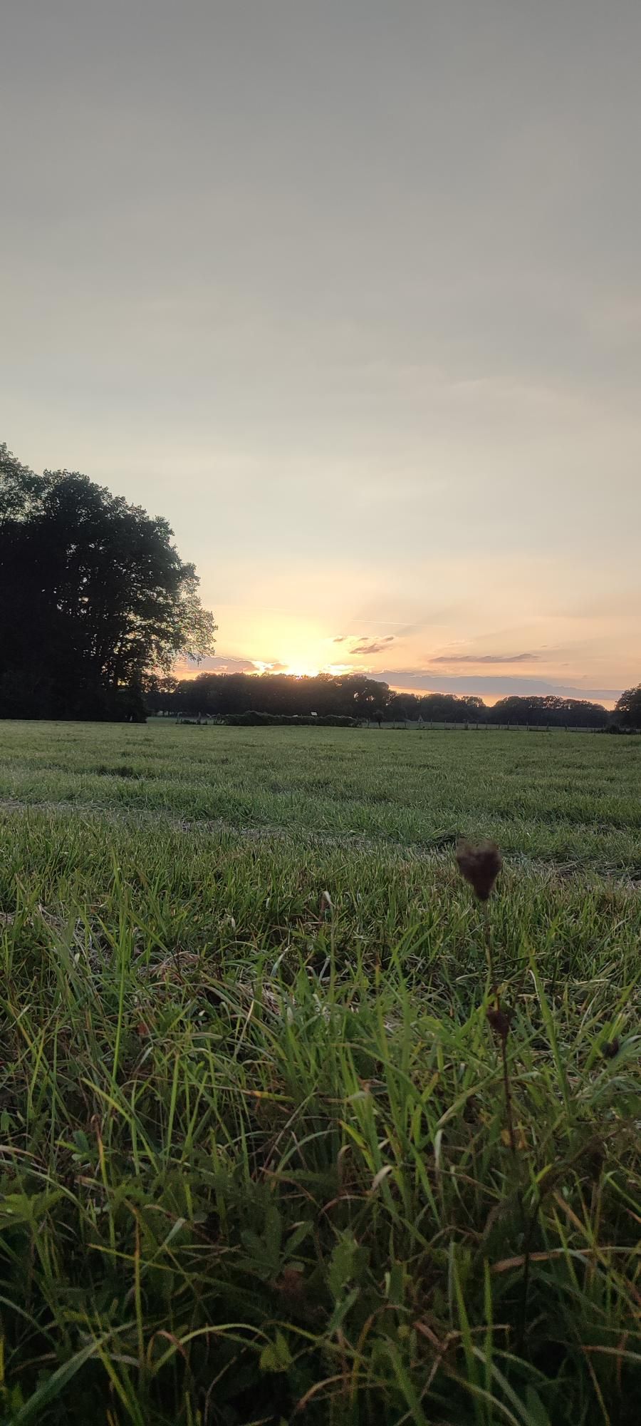 Romain Collignon | Strava Cyclist Profile