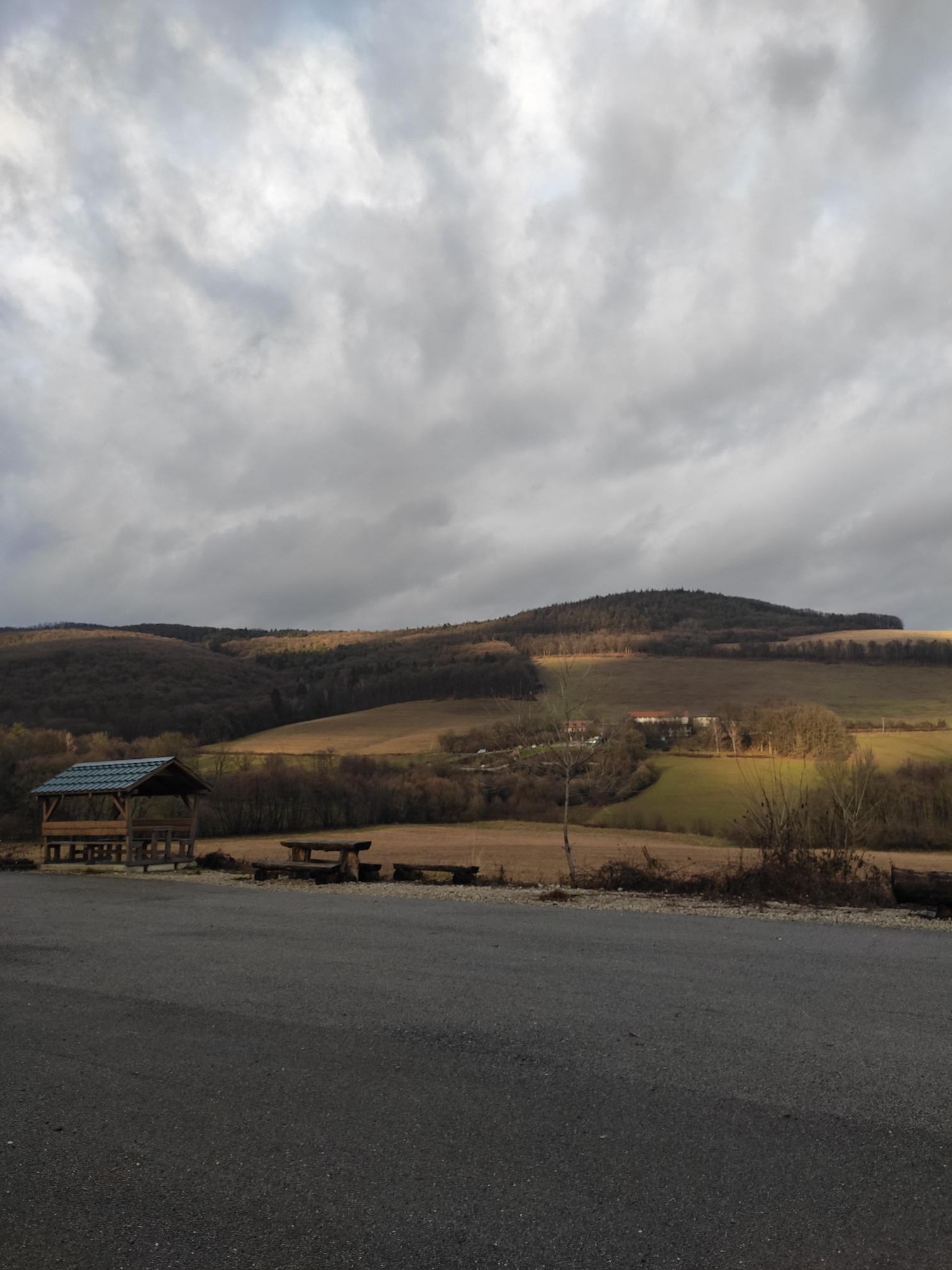 Klára Pecháčková | Strava Runner Profile