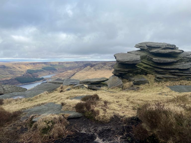 up and over | 16.3 km Trail Running Route on Strava