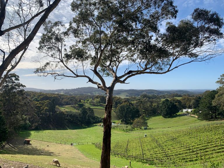 TdU 24 St 6 Unley to Lofty | 128.7 km Cycling Route on Strava