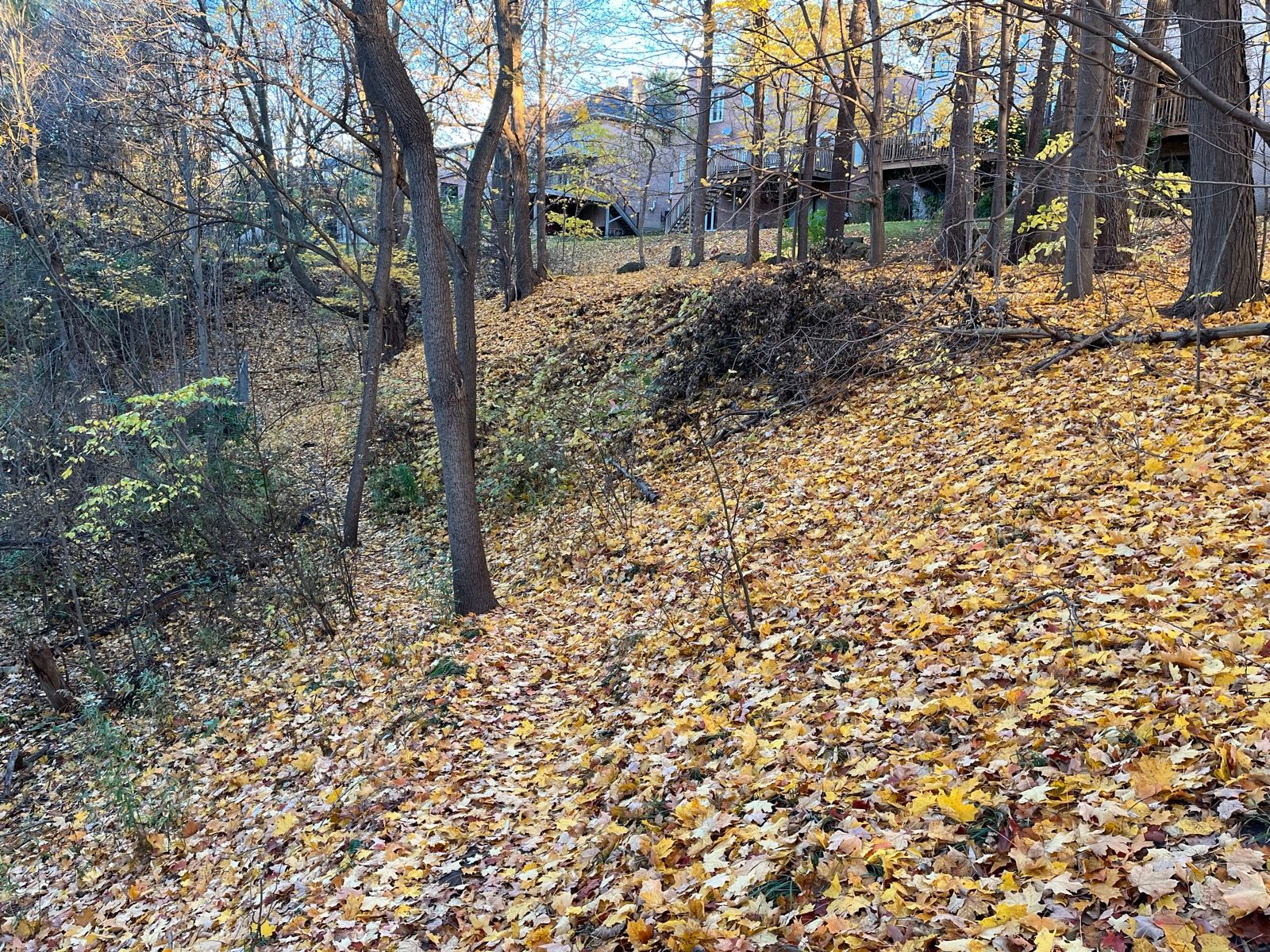 Karin Lindner 🇦🇹🇨🇦 | Strava Runner Profile