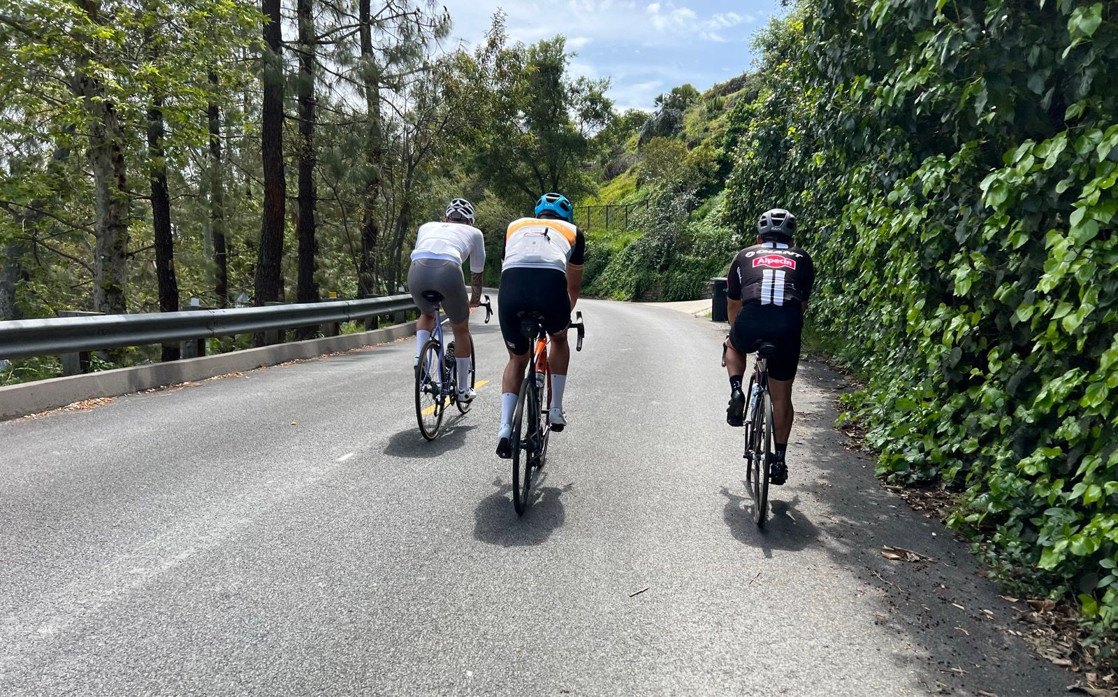 rob torres | Strava Cyclist Profile