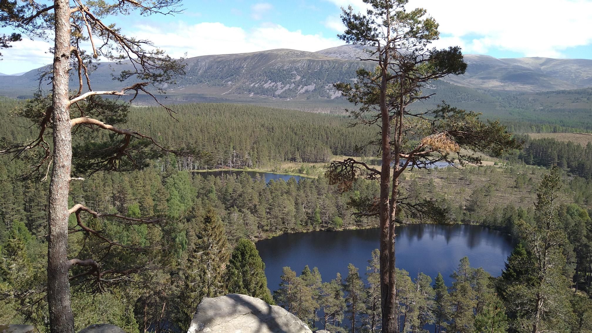 Damian Gilkes | Strava Cyclist Profile