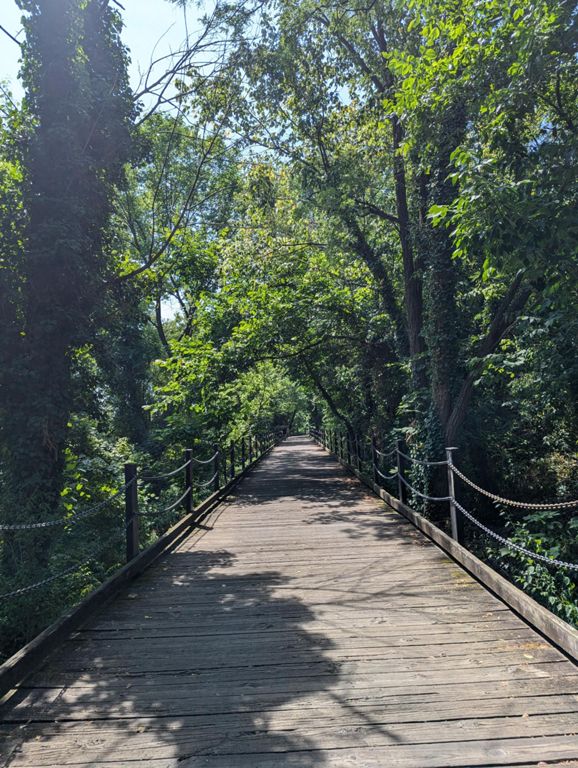 Arlington Loop | 23.3 km Running Route on Strava