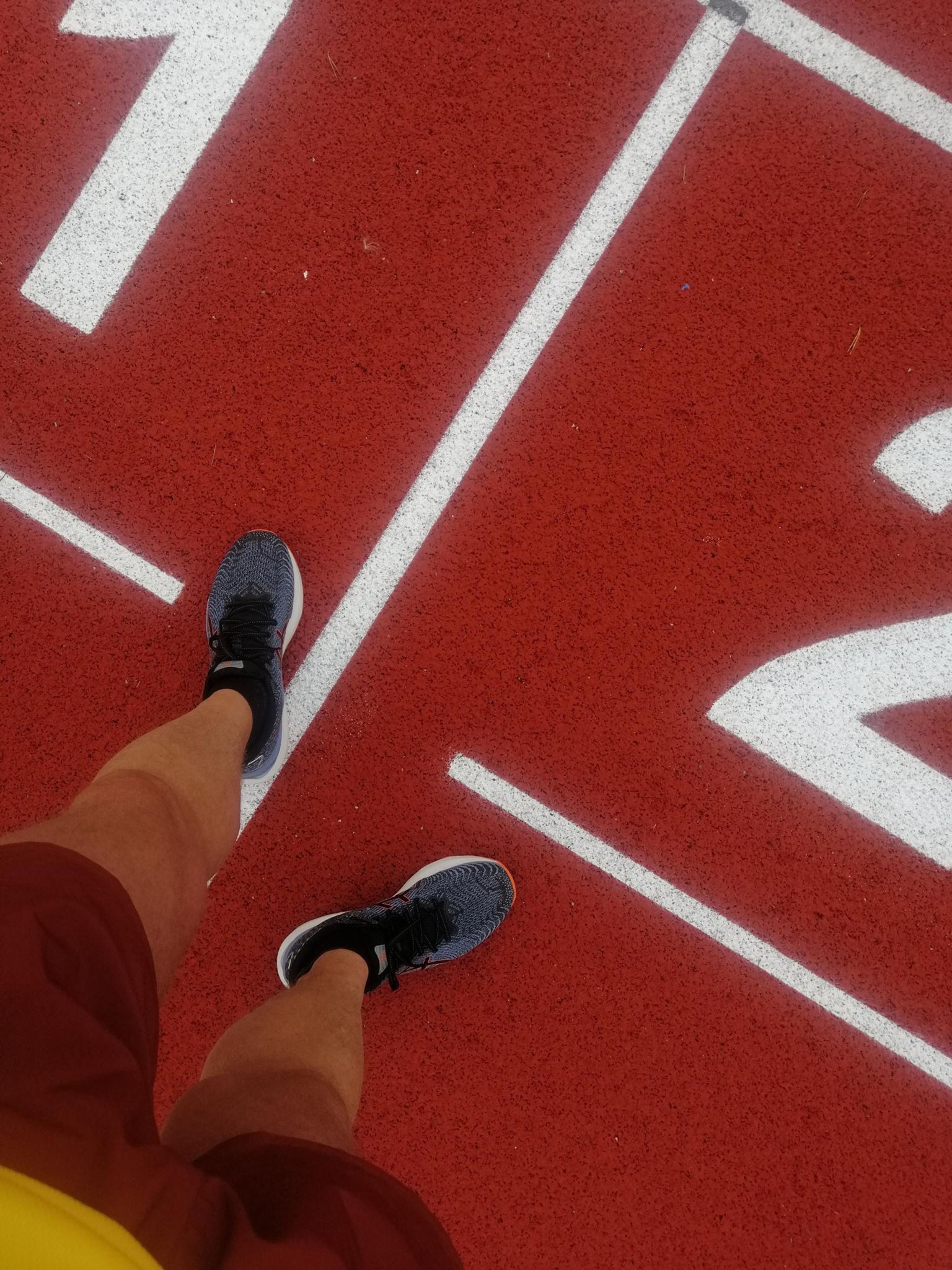 8.3 km Run Activity on September 8, 2023 by Ronny S on Strava