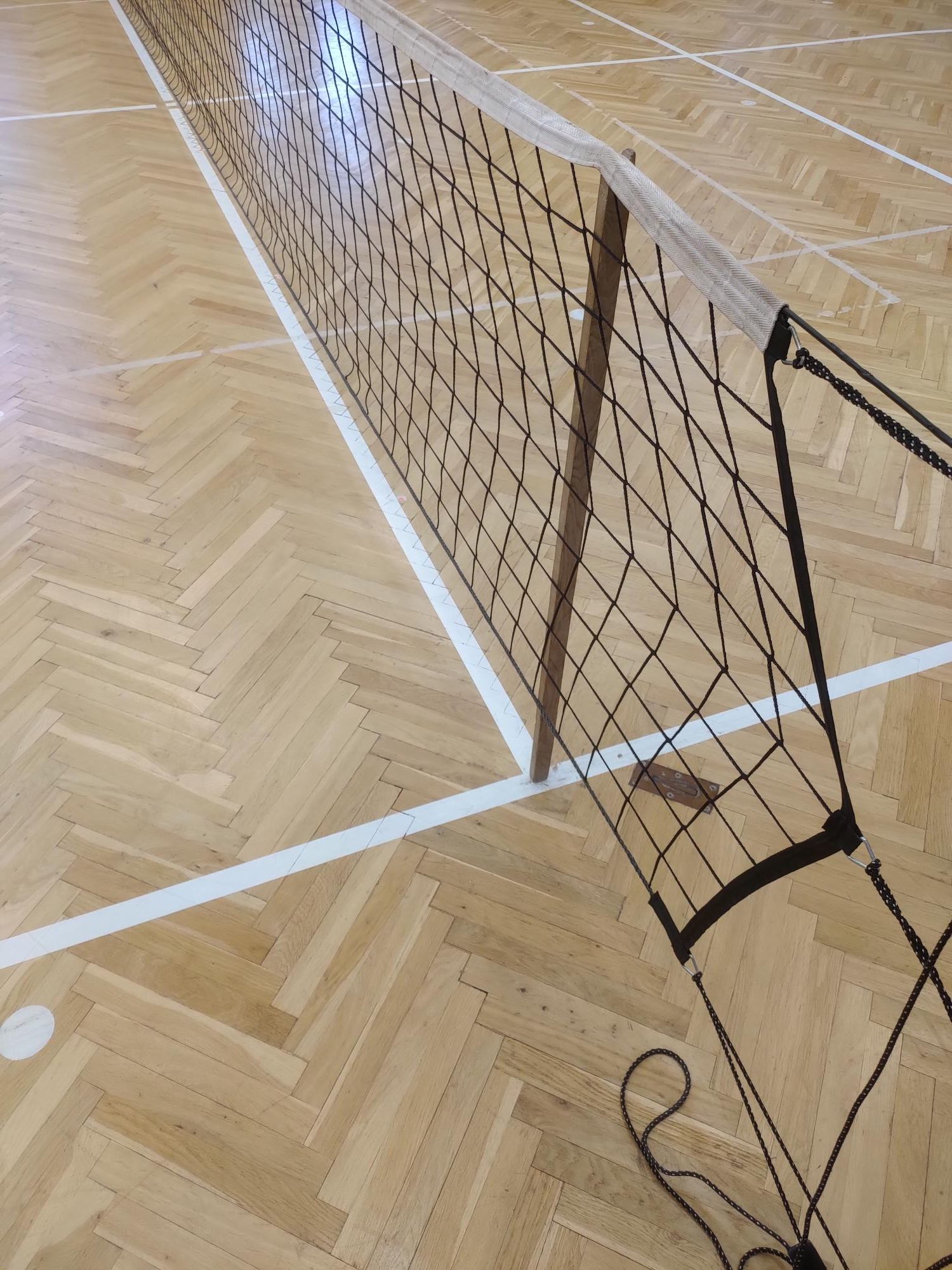 Miroslav Ruzicka | Strava Runner Profile