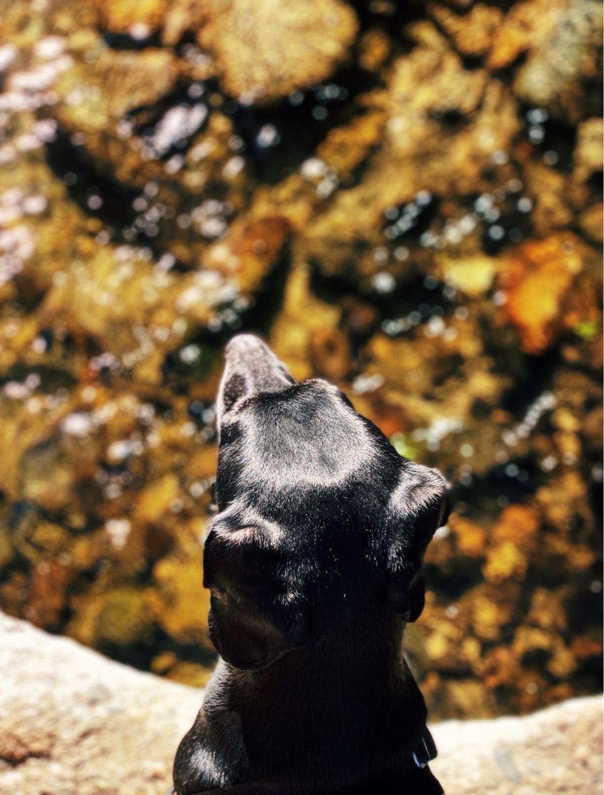 Brian Callaway | Strava Runner Profile