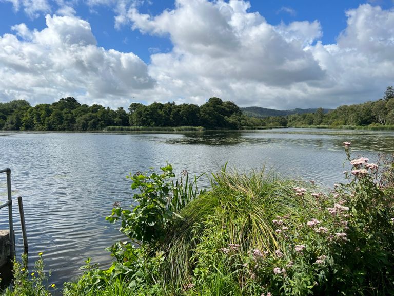 Milford Graffham Bignor85 | 84.3 km Cycling Route on Strava