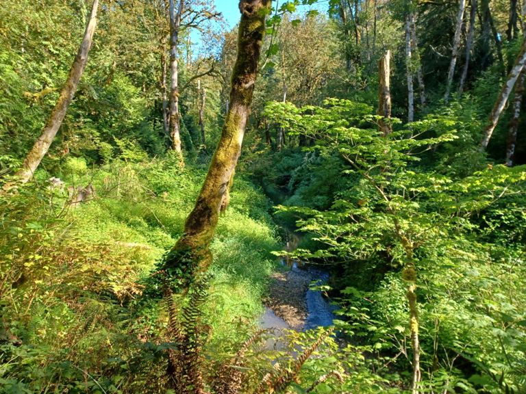 Tryon Creek Loop | 5.9 mi Cycling Route on Strava