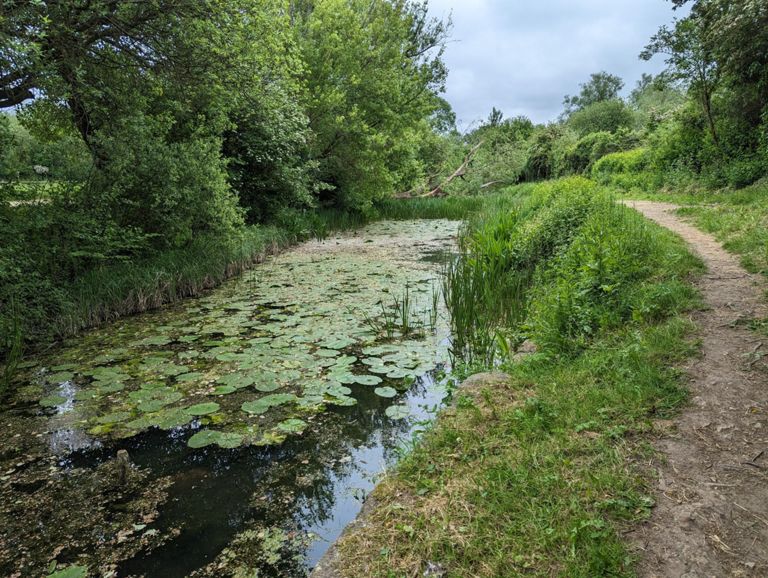 Kingsdown Lego Bricks - Chedworth | 43.4 mi Cycling Route on Strava