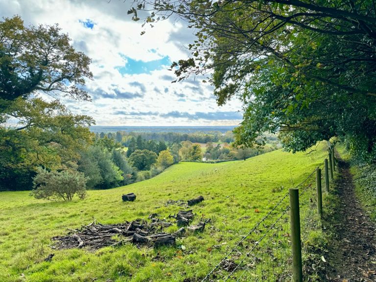 Green sands trail to oxted 14m | 13.9 mi Running Route on Strava