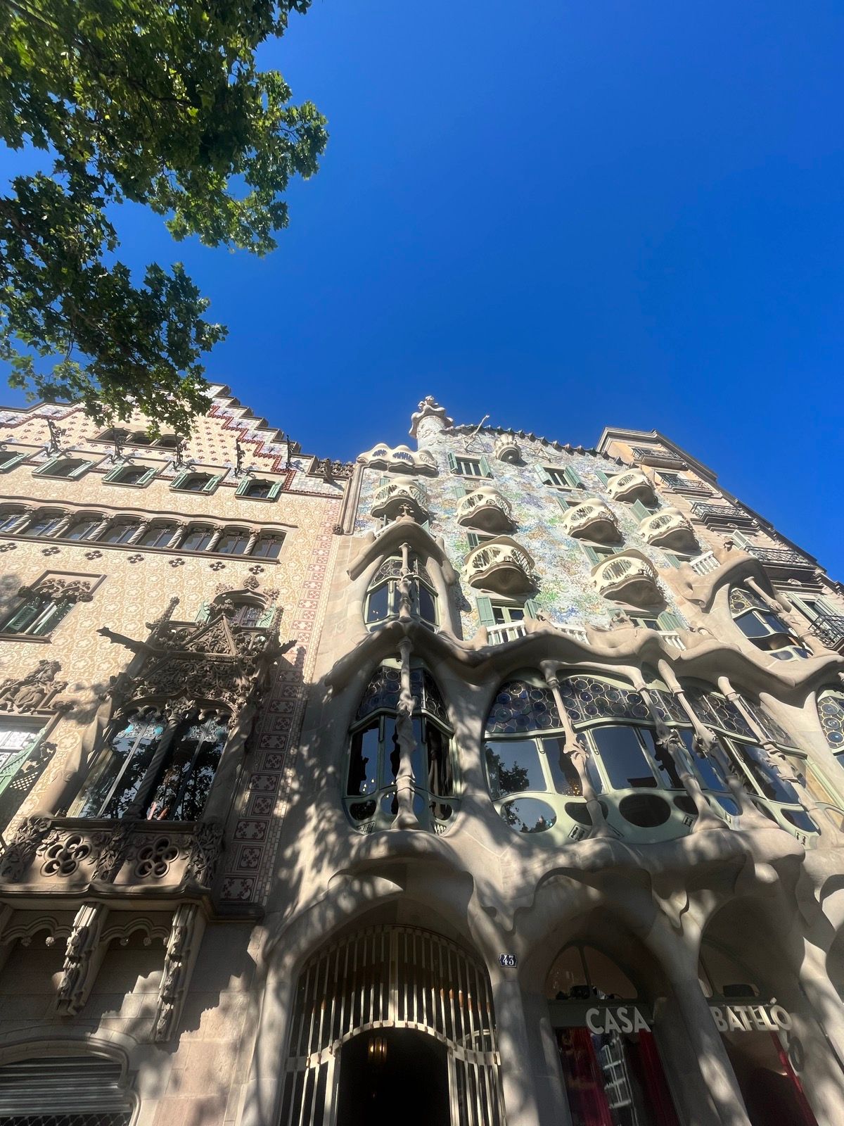 Caitlin Graham | Strava Runner Profile