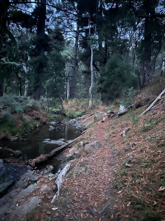 RAdelaide Rebound - 100 miles | 161.3 km Cycling Route on Strava