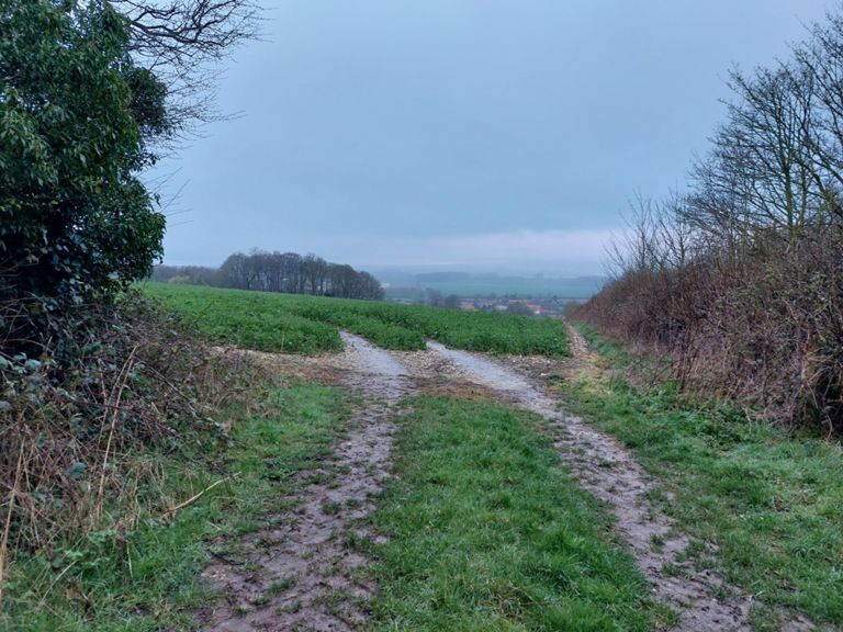 climbing around Riplingham from work | 37.5 mi Cycling Route on Strava