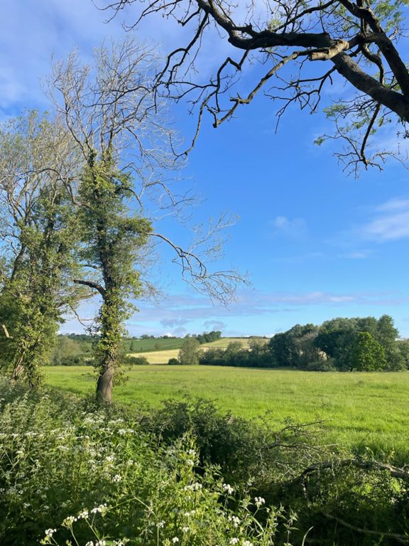 Ledburn From WH | 45.7 mi Cycling Route on Strava