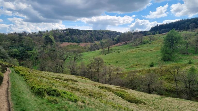 Macc Forest Adventure | 20.1 mi Running Route on Strava