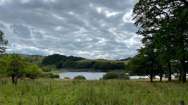 Richard & Ann Oakes Stone | 12.8 km Running Route on Strava