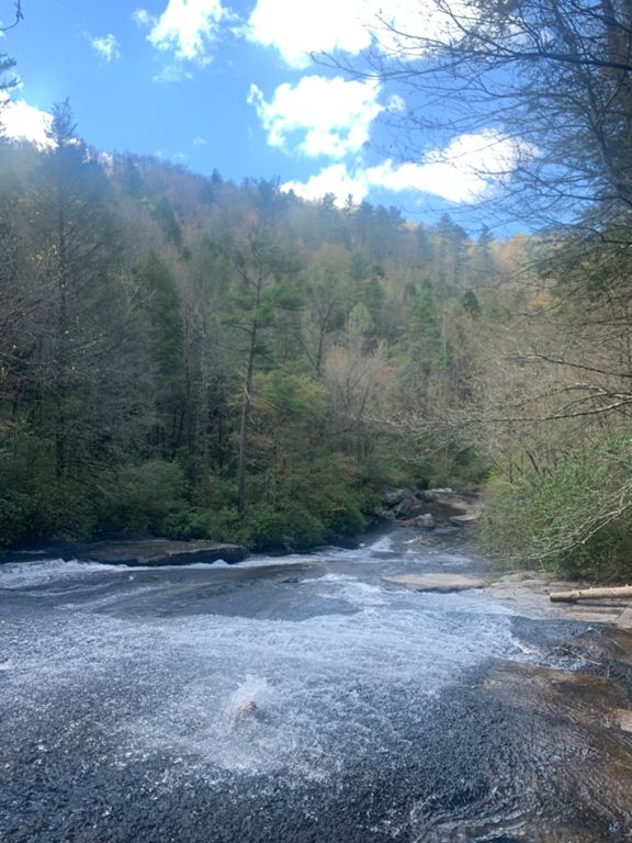 DuPont Loop 2 | 16.4 mi Cycling Route on Strava