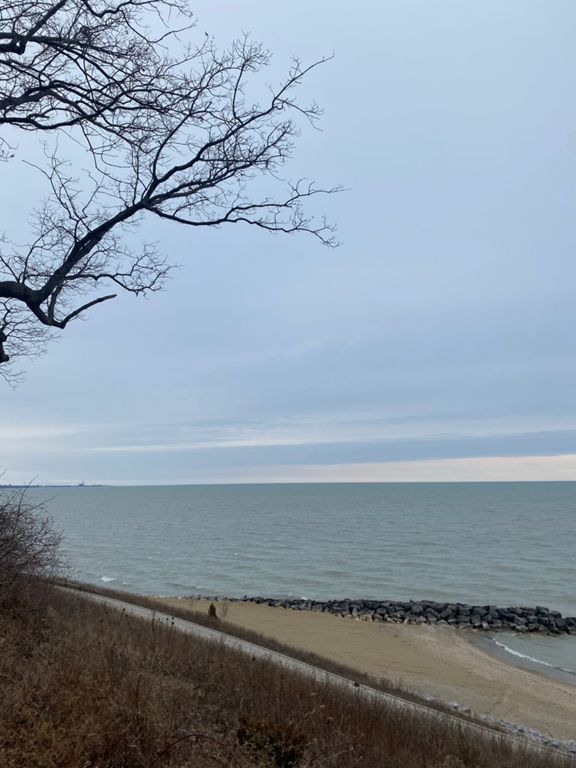 TLEN Tala Coffee Ride ☕️ 2022 | 39.1 mi Cycling Route on Strava