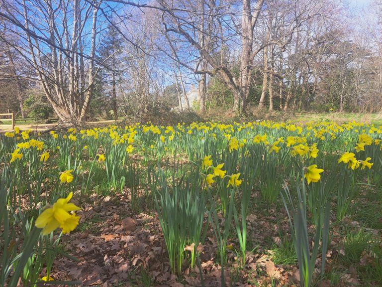 Wareham Forest way test | 71.5 km Mountain Biking Trail on Strava