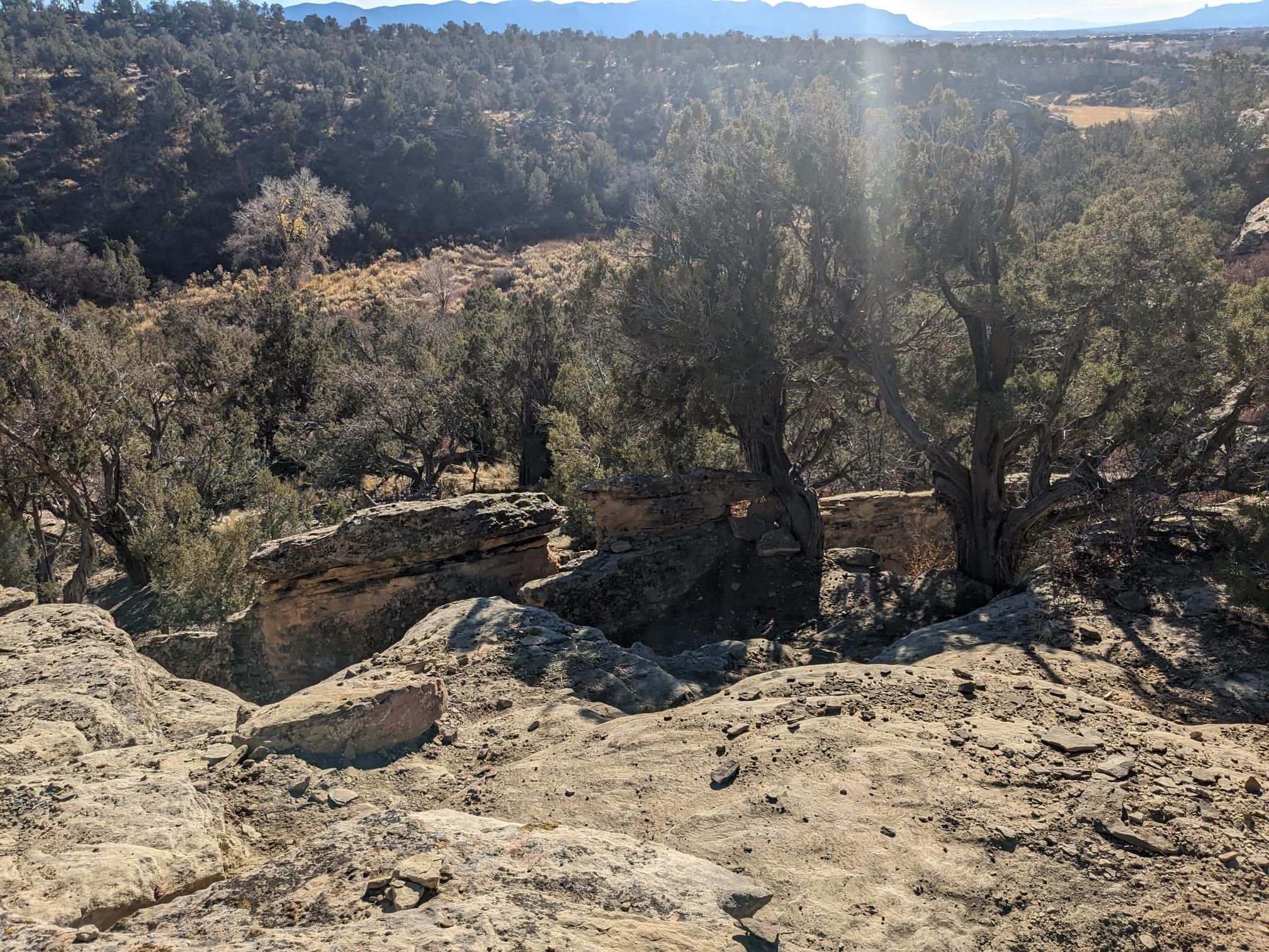 Emily Rodman | Strava Cyclist Profile