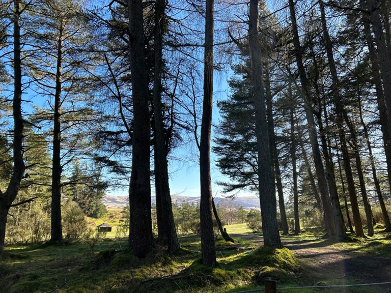 Braco to Perth | 41.2 km Cycling Route on Strava