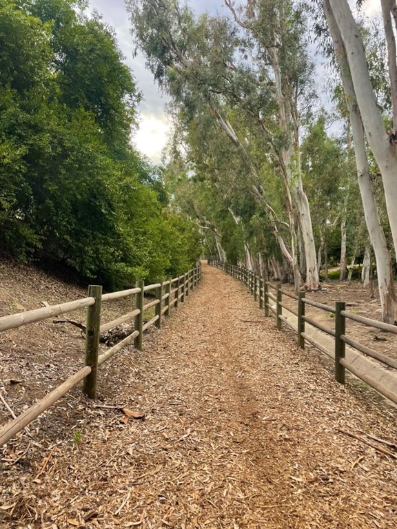 Rain Route | 19.6 mi Cycling Route on Strava