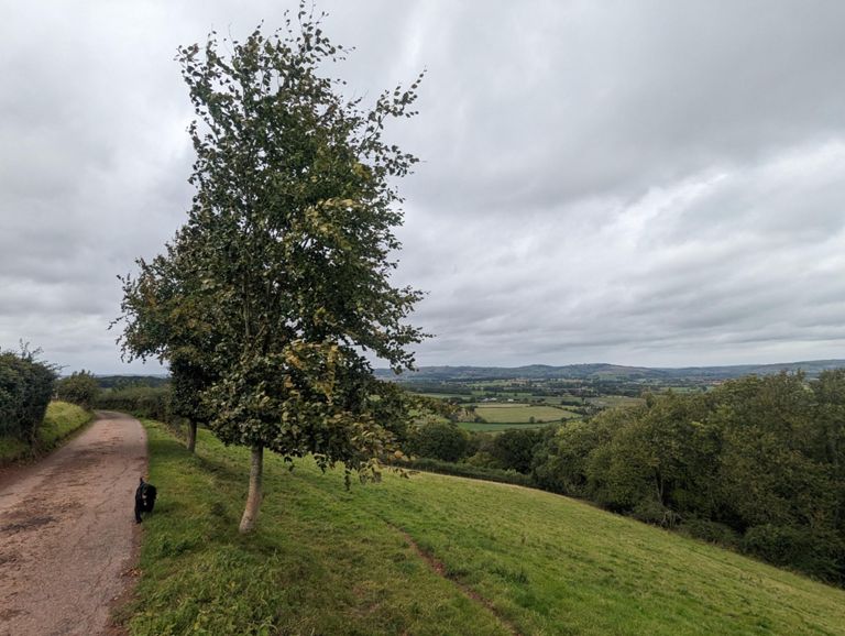 Exeter loop (Gravel style) | 33.6 mi Cycling Route on Strava