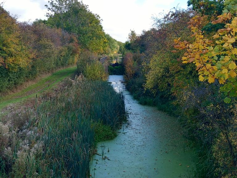 Barlestone to Toms | 61.3 mi Cycling Route on Strava