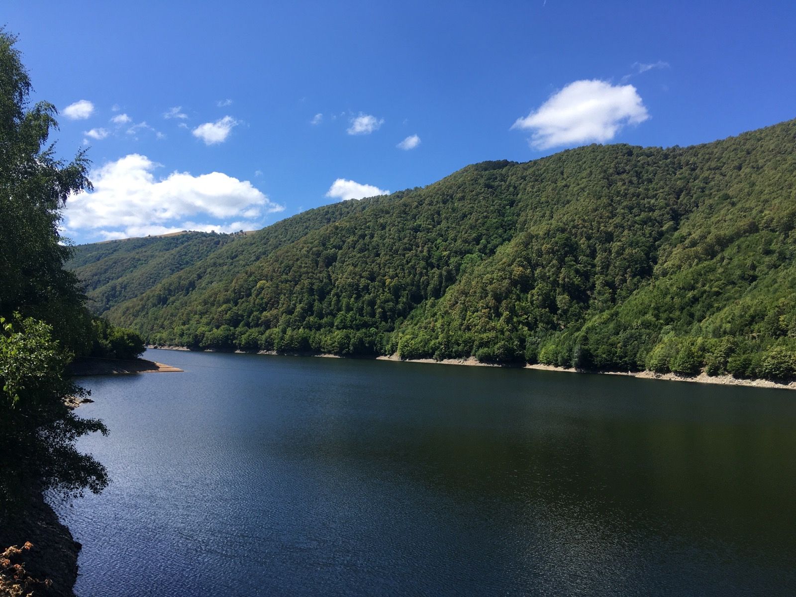 Marius Gandila | Strava Cyclist Profile