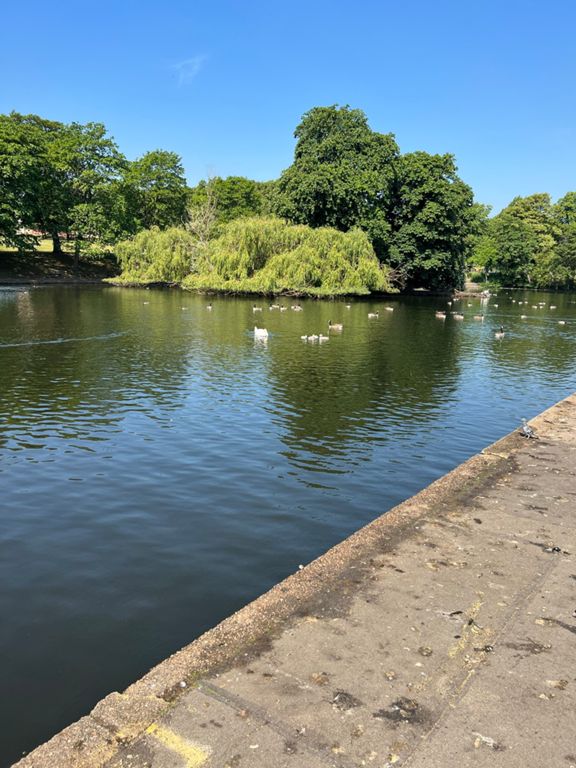 7 in 70s around Parsons Cross | 11.5 km Running Route on Strava