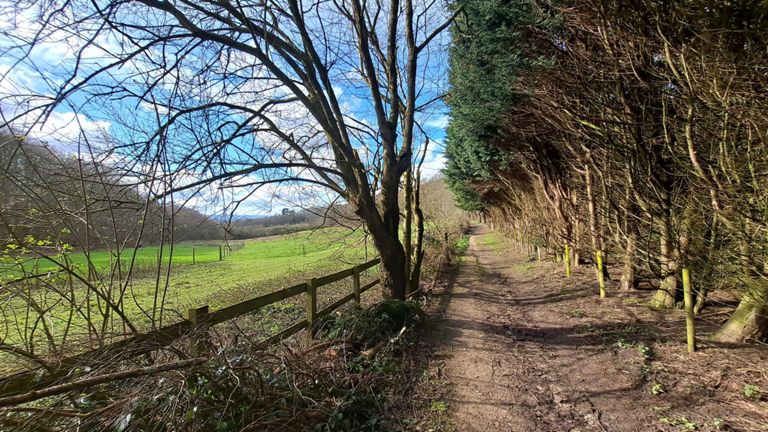 Green sands trail to oxted 14m | 13.9 mi Running Route on Strava