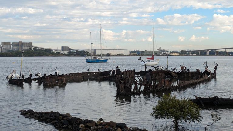 NTC 10km Course | 9.9 km Cycling Route on Strava