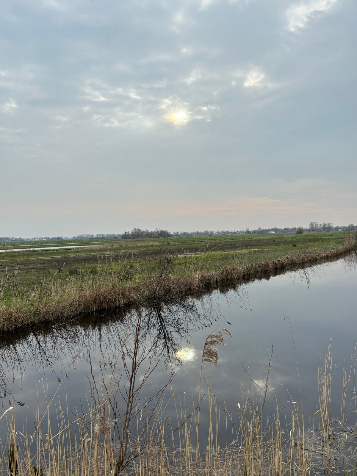 Harm-Jan van der Mark | Strava Cyclist Profile