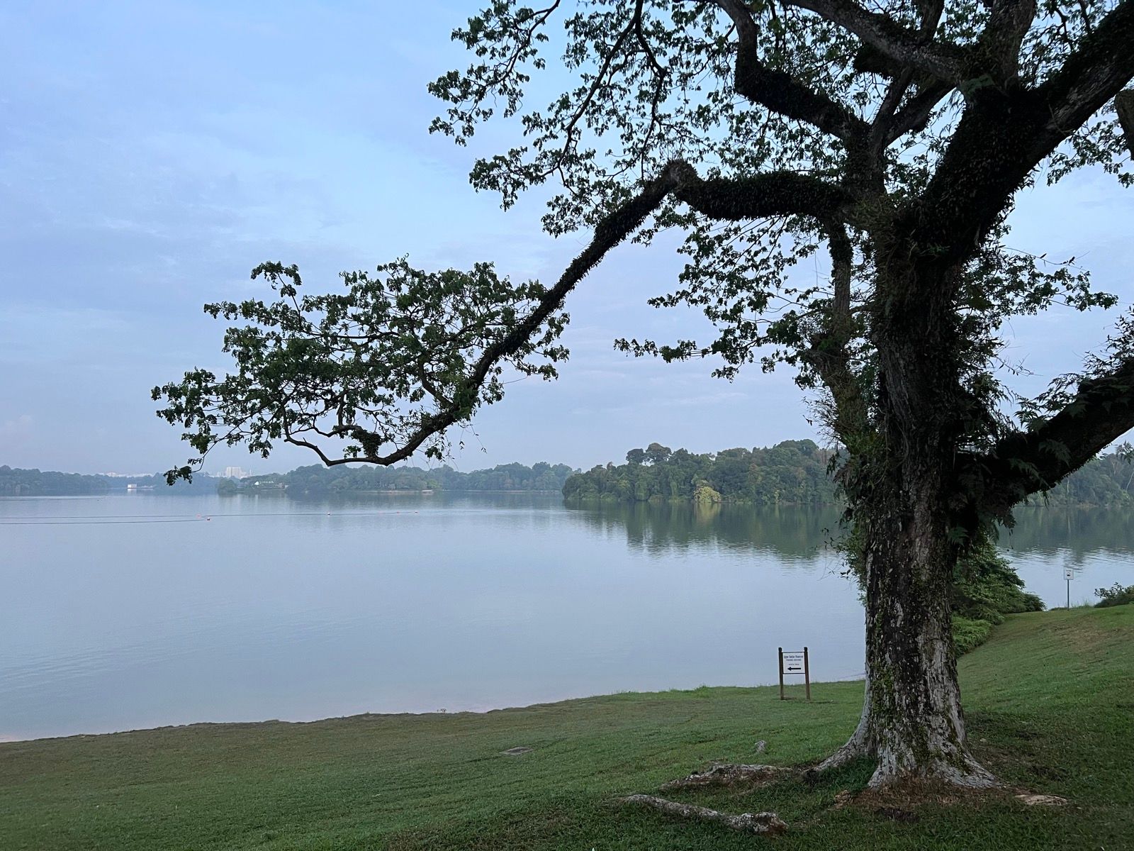 Nick Shenton | Strava 自行車手的個人檔案