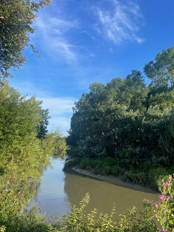 50 mile loop | 50.4 mi Cycling Route on Strava