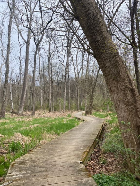 White Clay Stage 2 | 12.1 mi Cycling Route on Strava