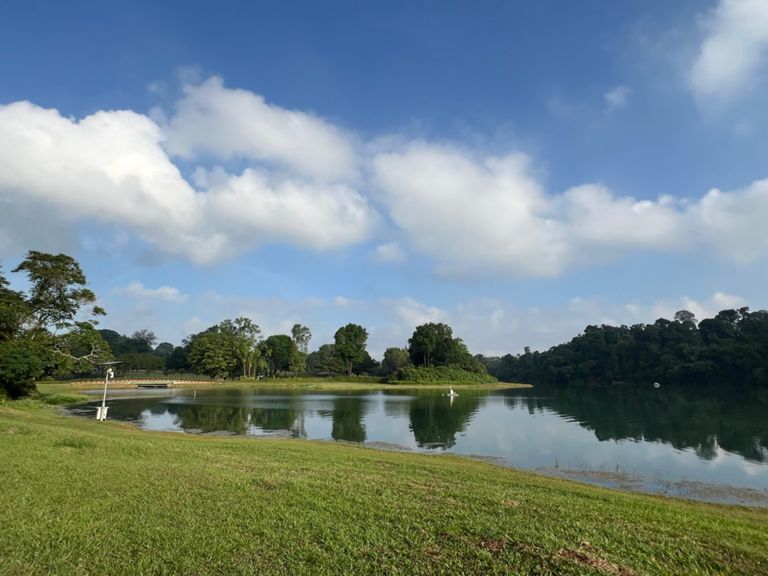 MacRitchie Reservoir Loop | 11.1 mi Running Route on Strava